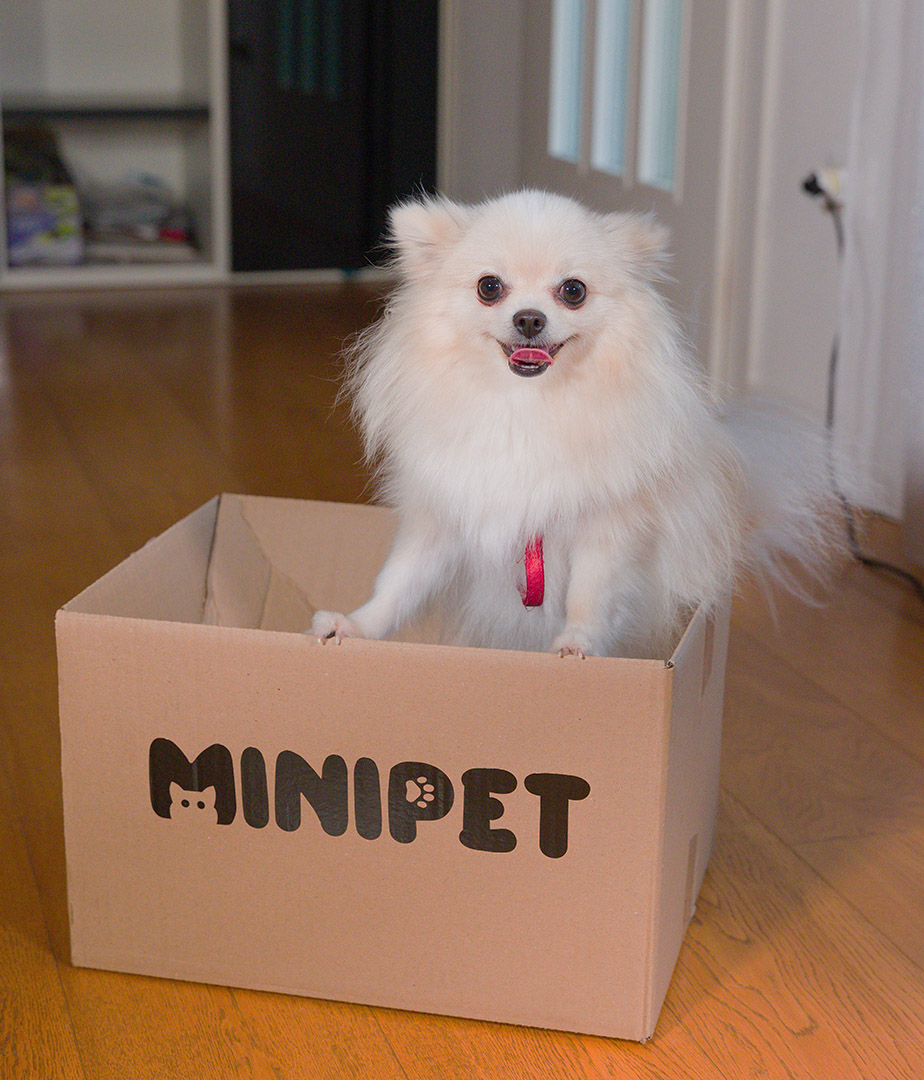 Pacchetti – Mini PET