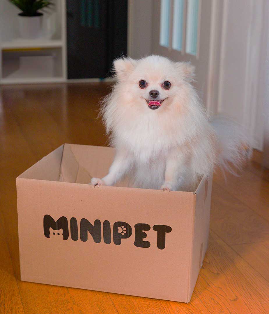 Diventa partner – Mini PET